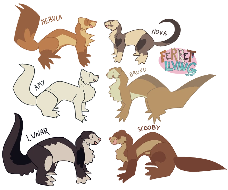 I drew animation references for my ferrets for like the ninth time | Fandom