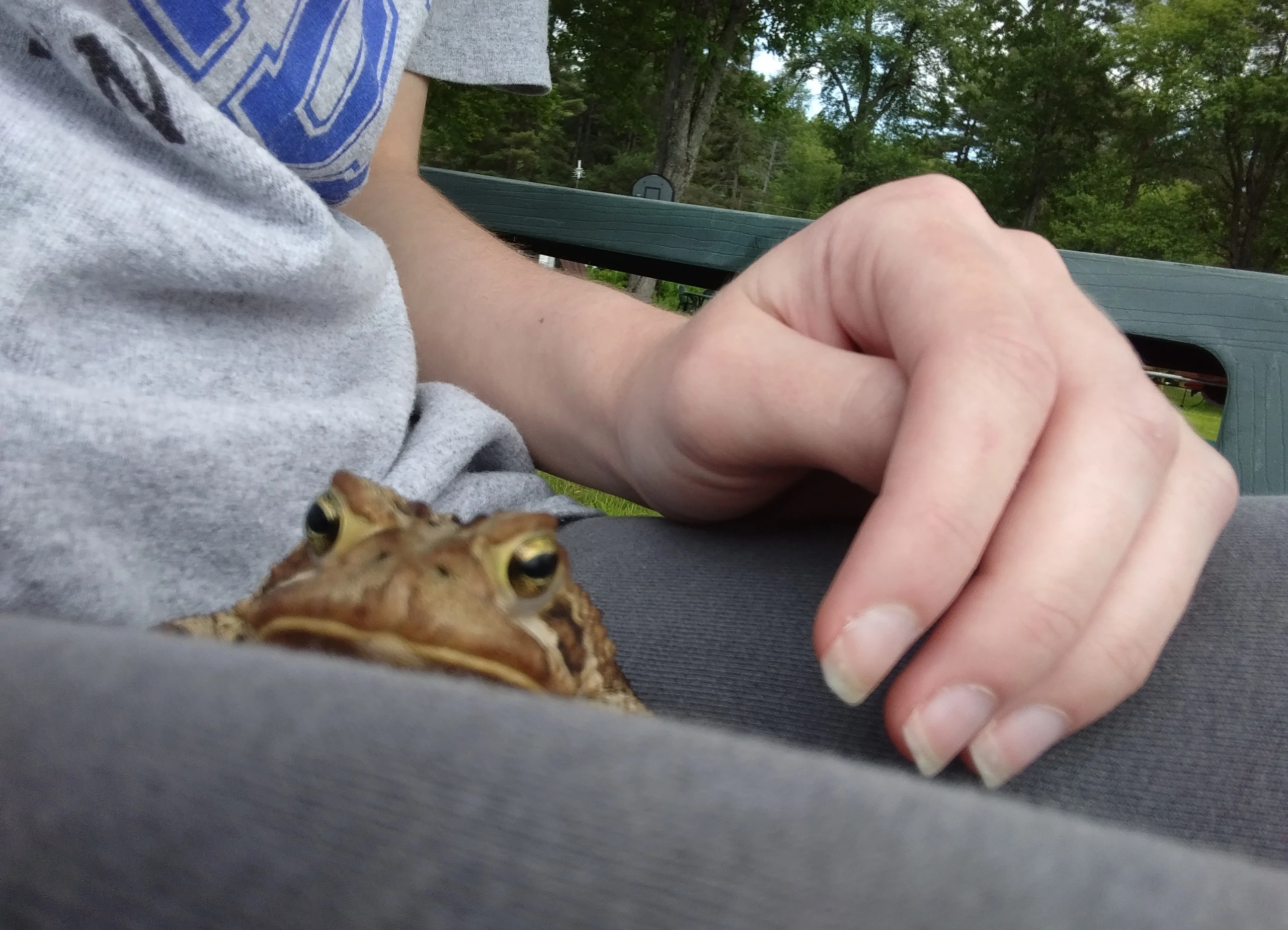 Freedom the spooky | Fandom