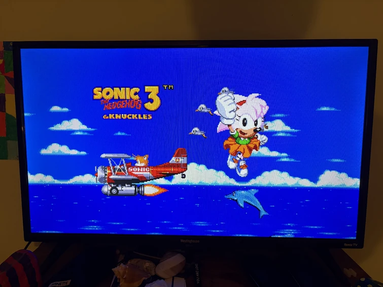 I just beat Sonic 3 and Knuckles for the first time! | Fandom