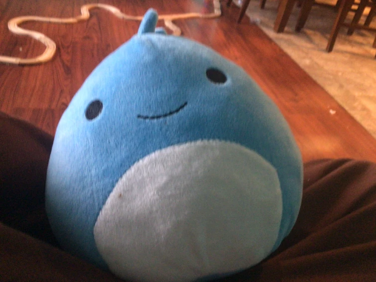 Discuss Everything About Squishmallows Wiki | Fandom