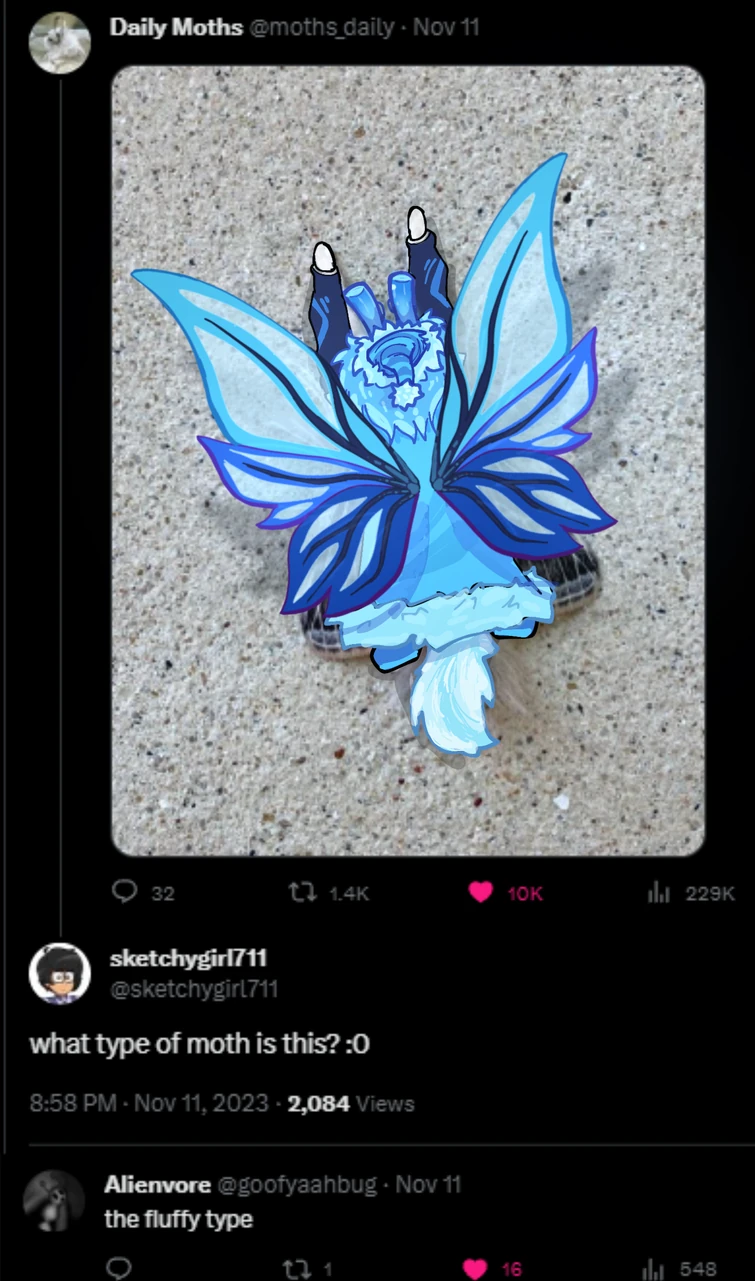 Icedagger the fluffy type | Fandom