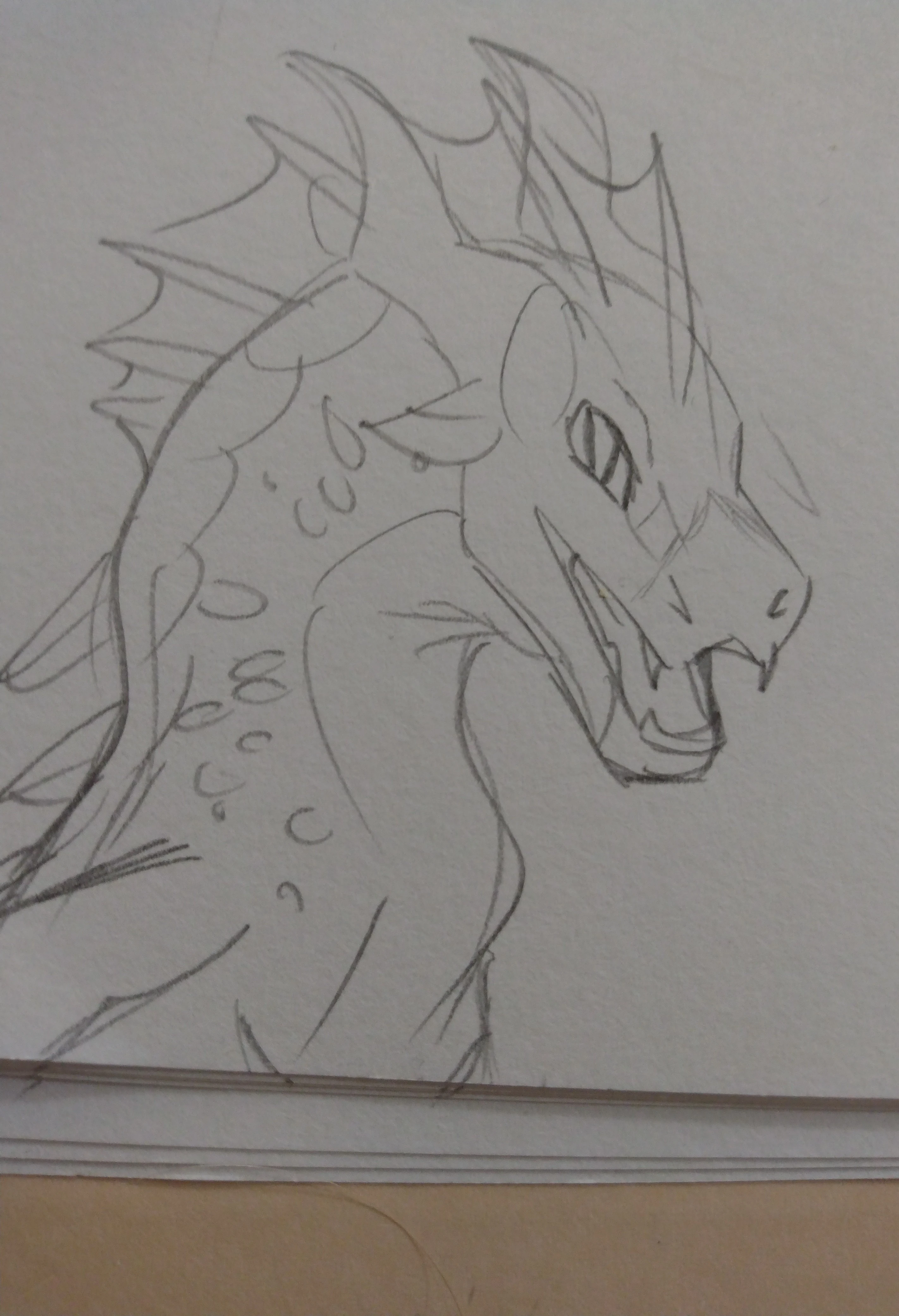 Random Leafwing doodle | Fandom