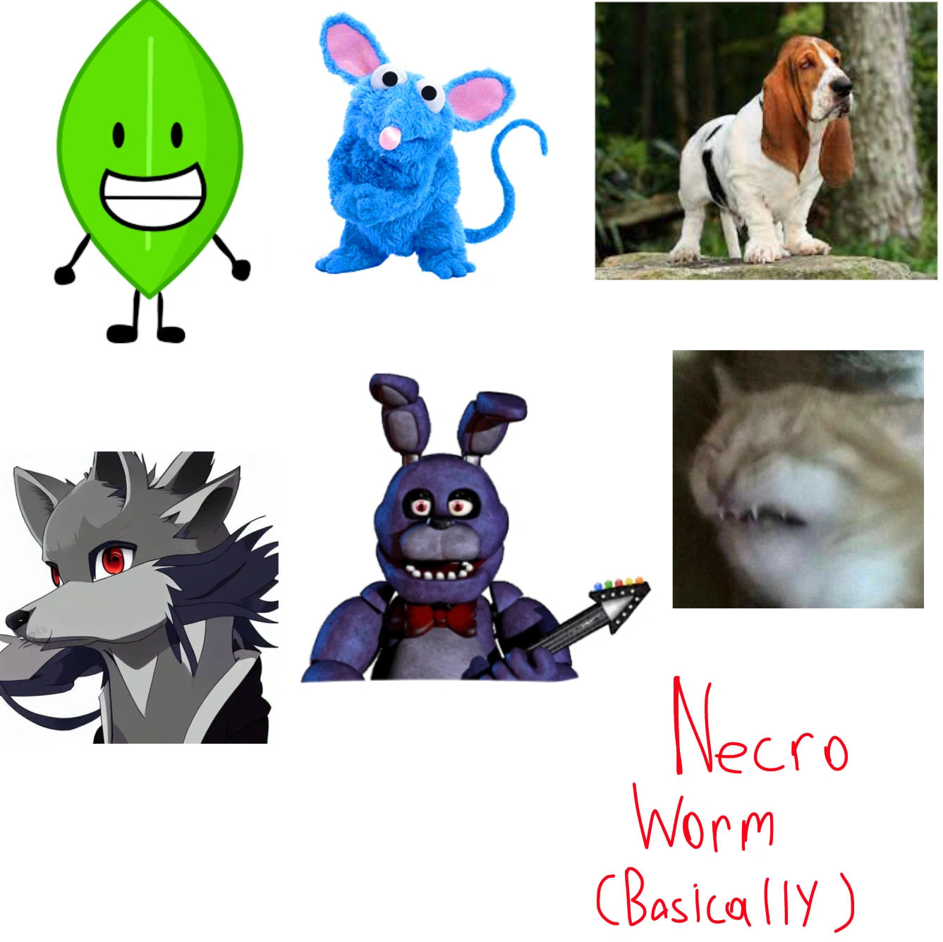 Basically Mf Necro Worm | Fandom