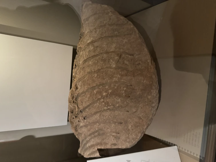 Guess the dicynodont | Fandom