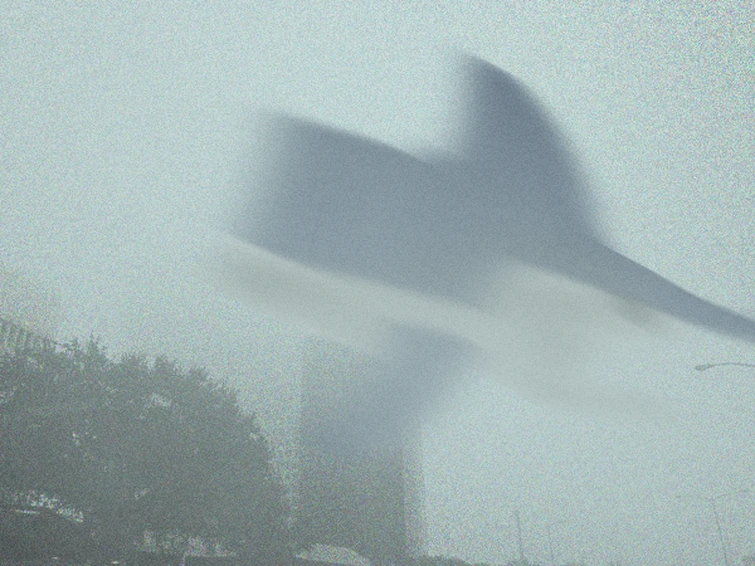 Discuss Everything About Barli and SCP Foundation 2020 Wiki | Fandom