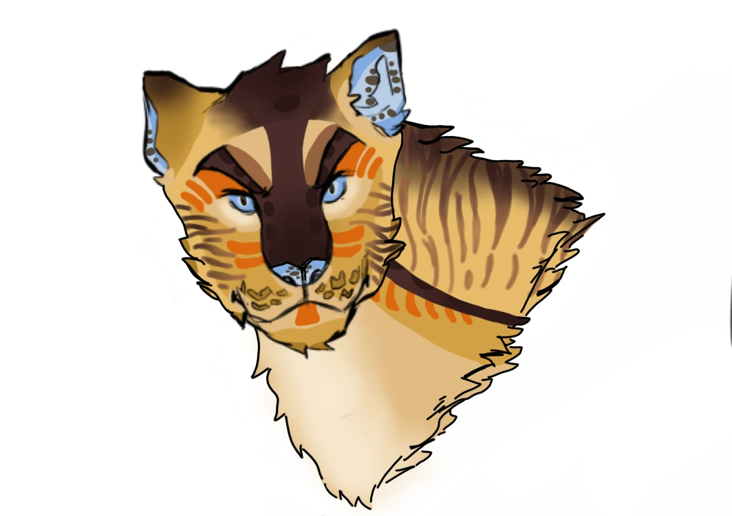 Aggressive Meow | Fandom