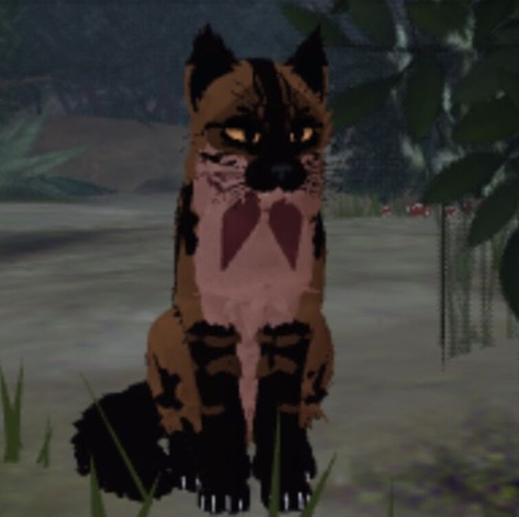 My wc “ocs” | Fandom