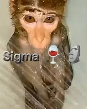 are you sigma | Fandom