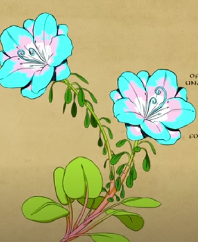 Anyone else see this? | Fandom