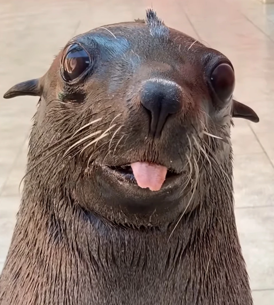 Offtopic(ish??) | Fandom