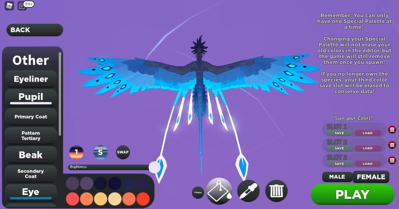 rate my birb | Fandom