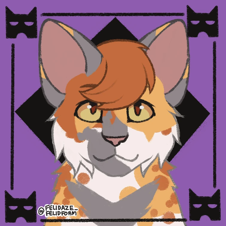 Nightheart and Sunbeam need kits! | Fandom