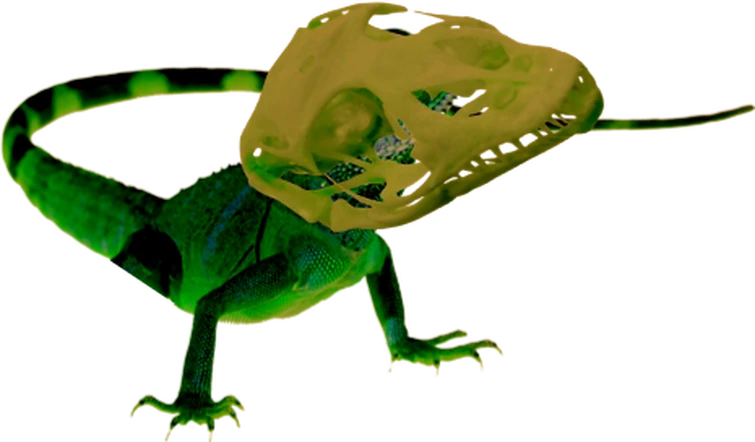 Off Topic Post | Fandom