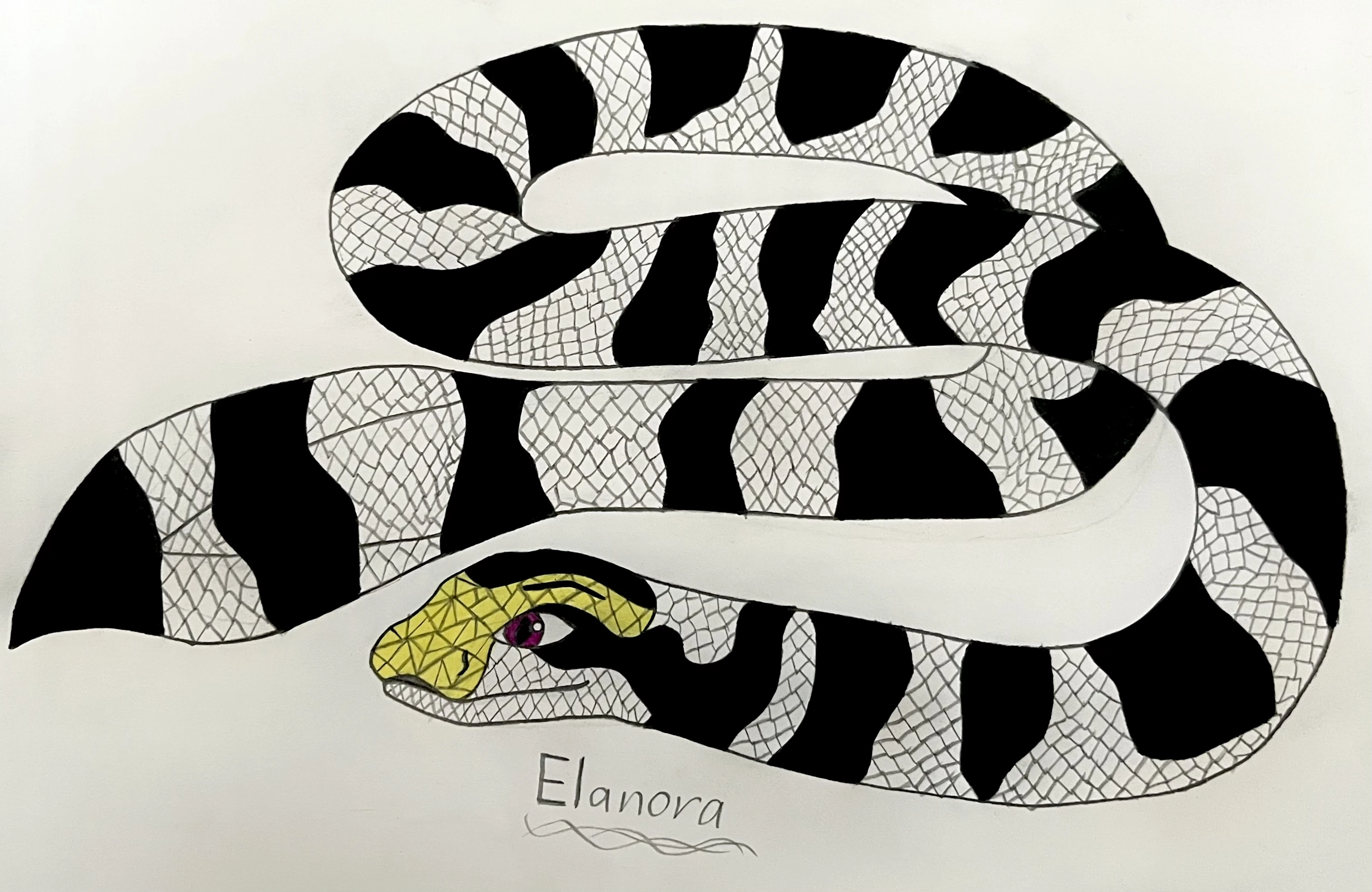 Finding Nemo/Dory OC | Fandom