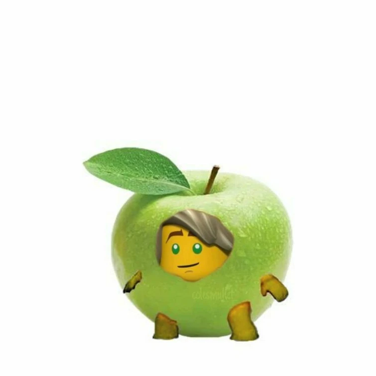 Goofy ninjago images cuz why not :) | Fandom