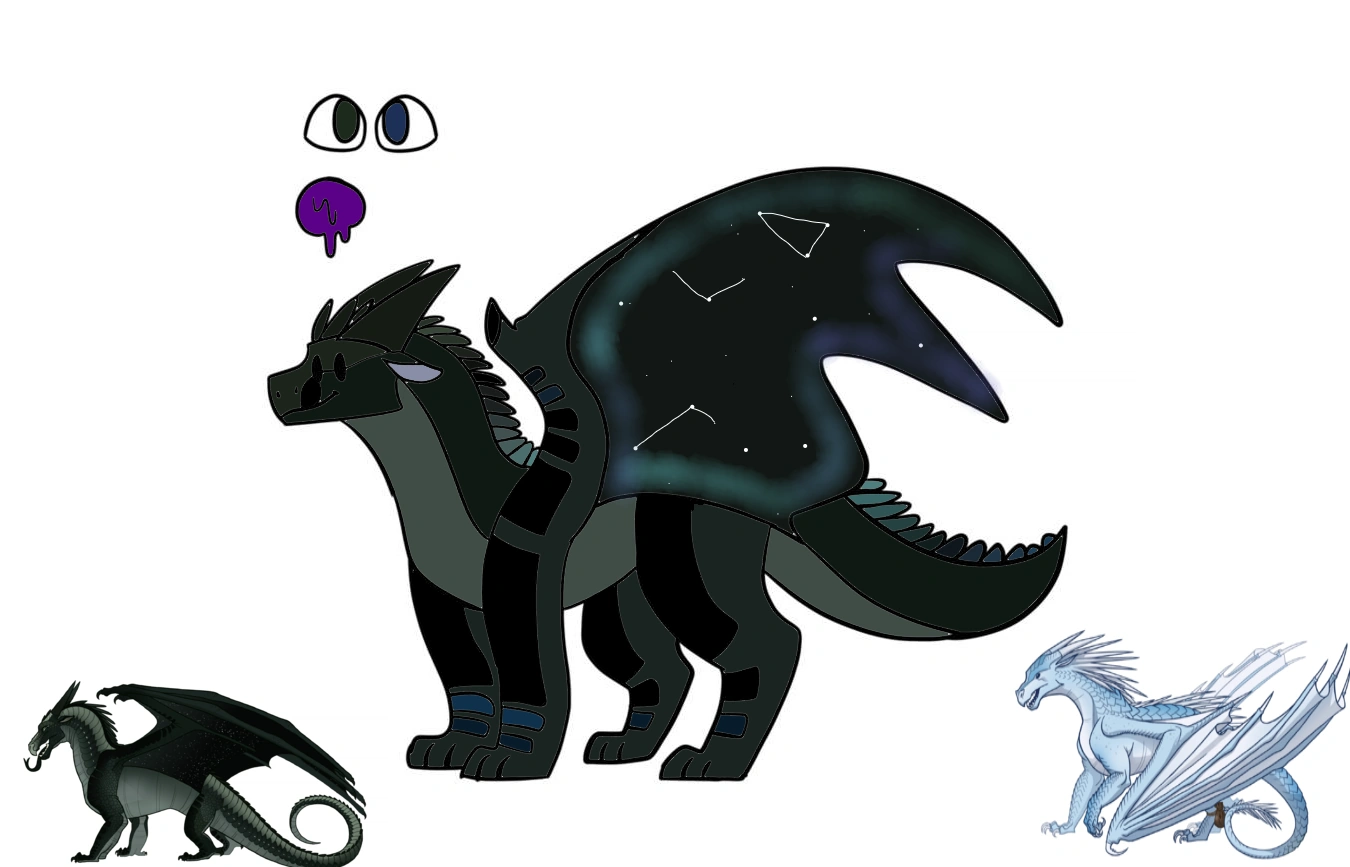 Winterwatcher Dragonet: | Fandom