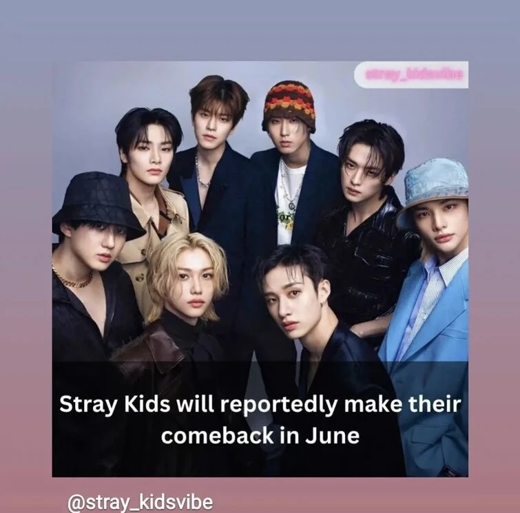 Discuss Everything About Stray Kids Wiki | Fandom