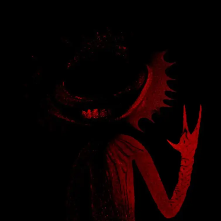 Discuss Everything About Spinpasta Wiki | Fandom