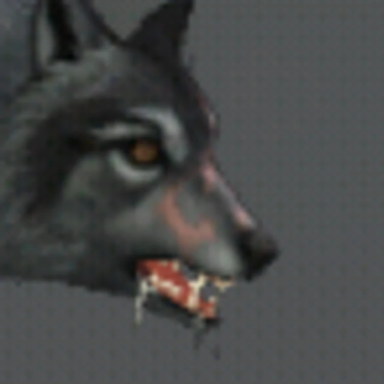 Old Wolf has Rabies!? | Fandom