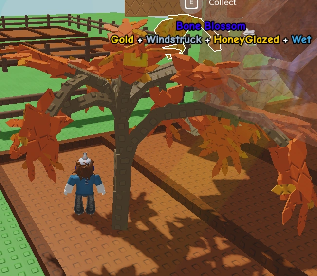 got maple apple on my 10th pack | Fandom