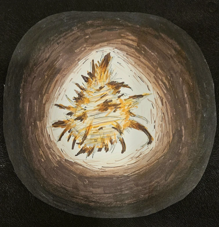 shell light !! (ref image is there too) | Fandom