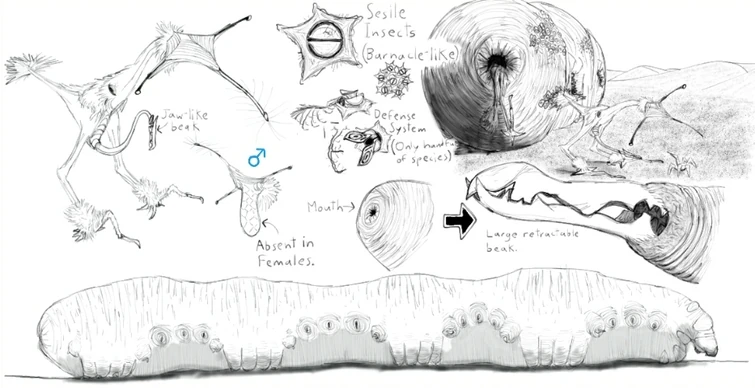 Random Question | What comes to mind when you think about speculative ...