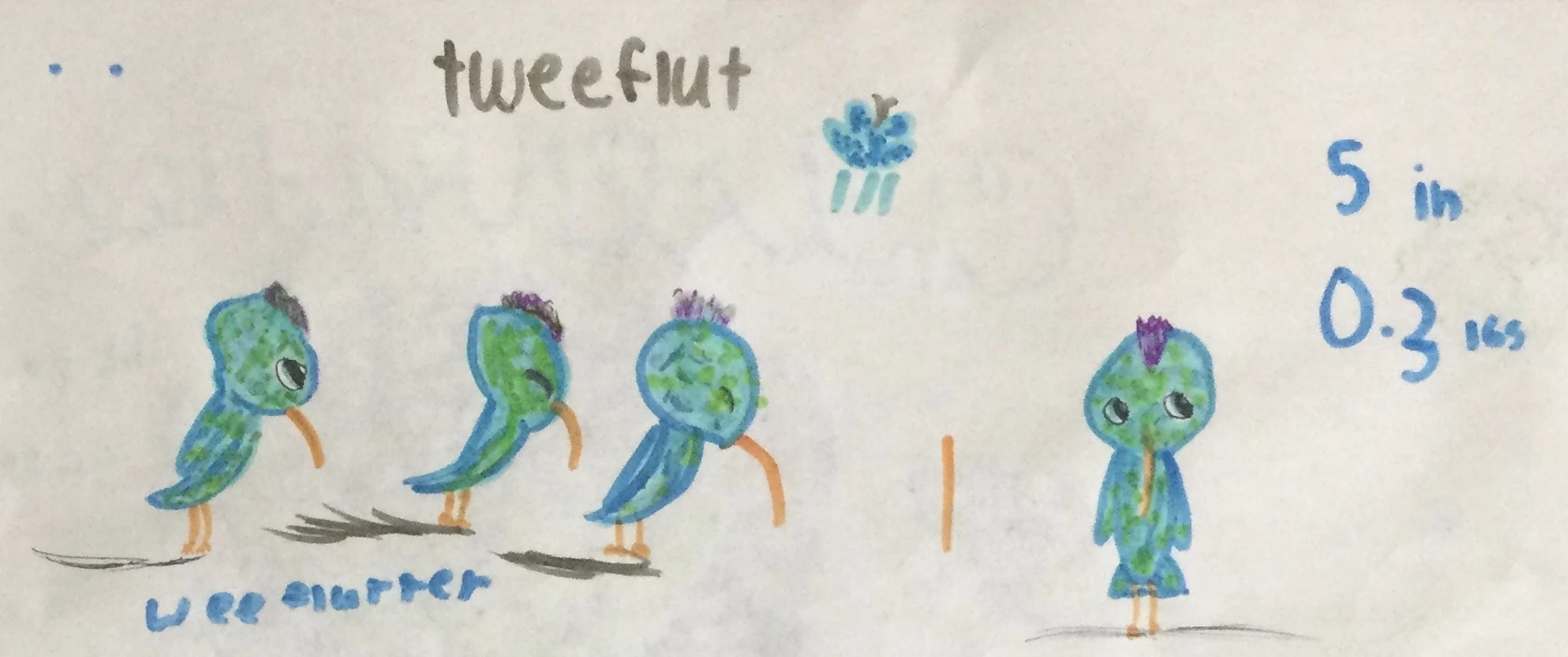 Route 1 bird drawings | Fandom