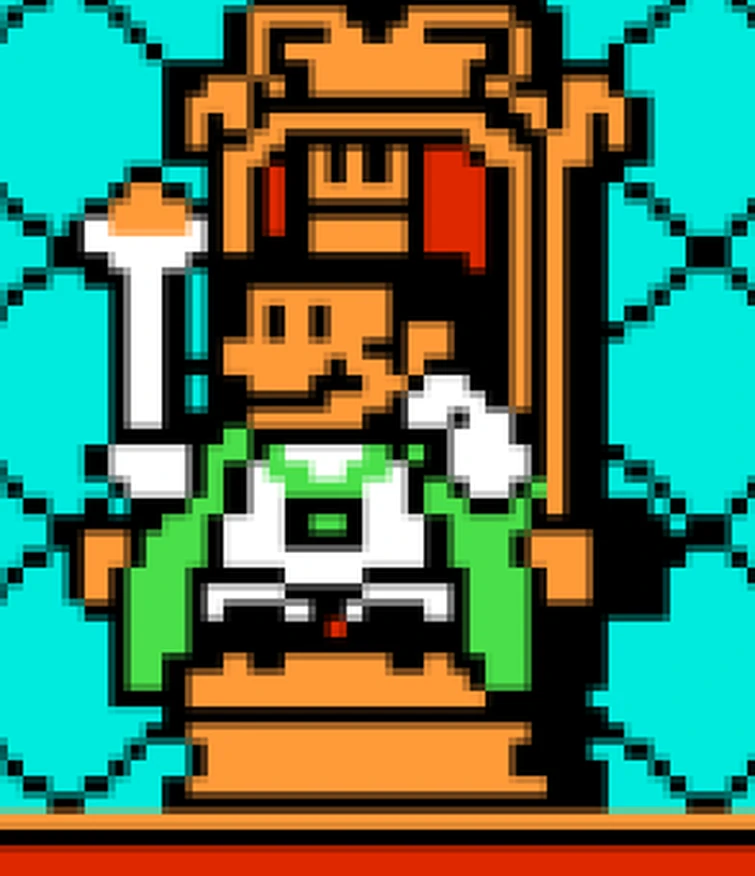 This king from World 3 looks like Mario from Super Mario Bros. 3 | Fandom