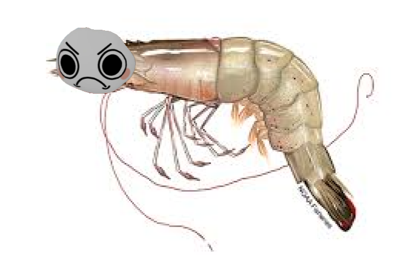 shrimpo?!?! | Fandom shrimpo?!?! | Fandom