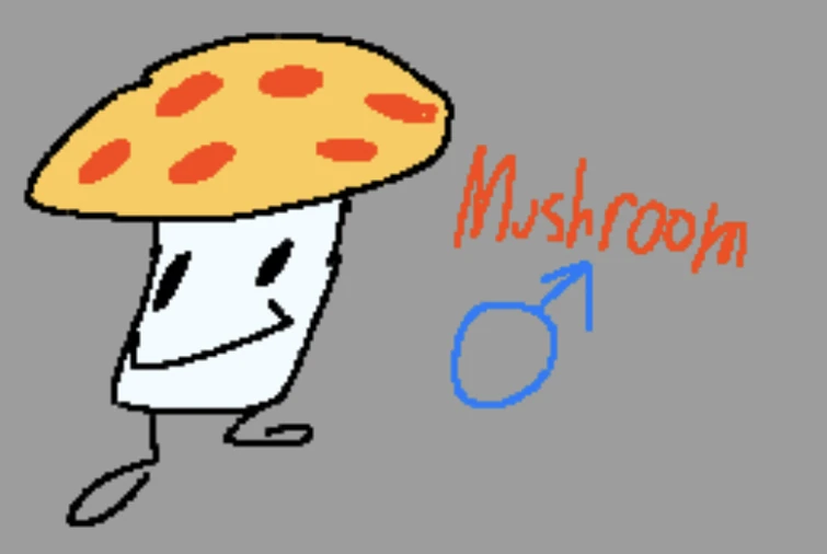 (NEW OC ALERT ️ ️🚨🚨) Mushroom | Fandom