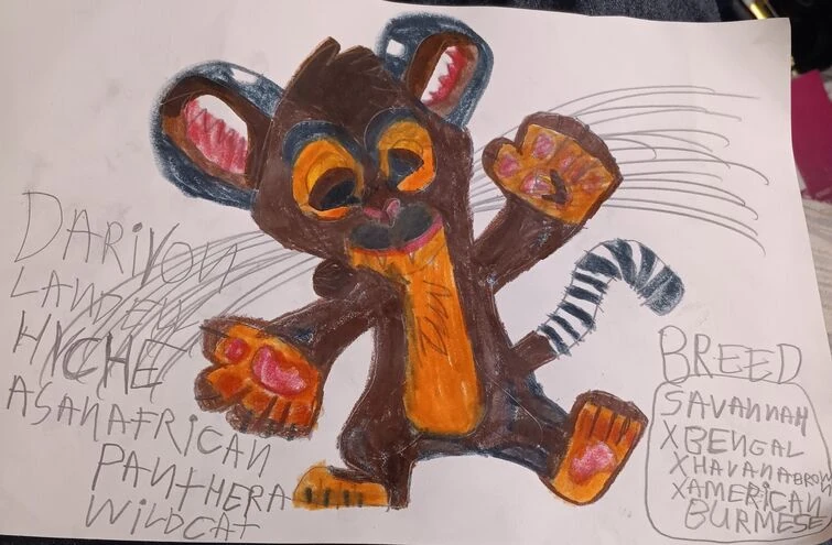 Discuss Everything About Madagascar Wiki | Fandom