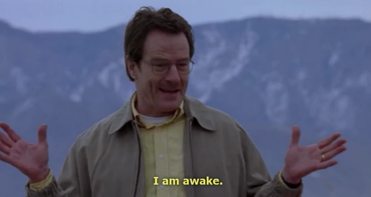 When Walter said to Skyler in the finale that he did it all for himself ...