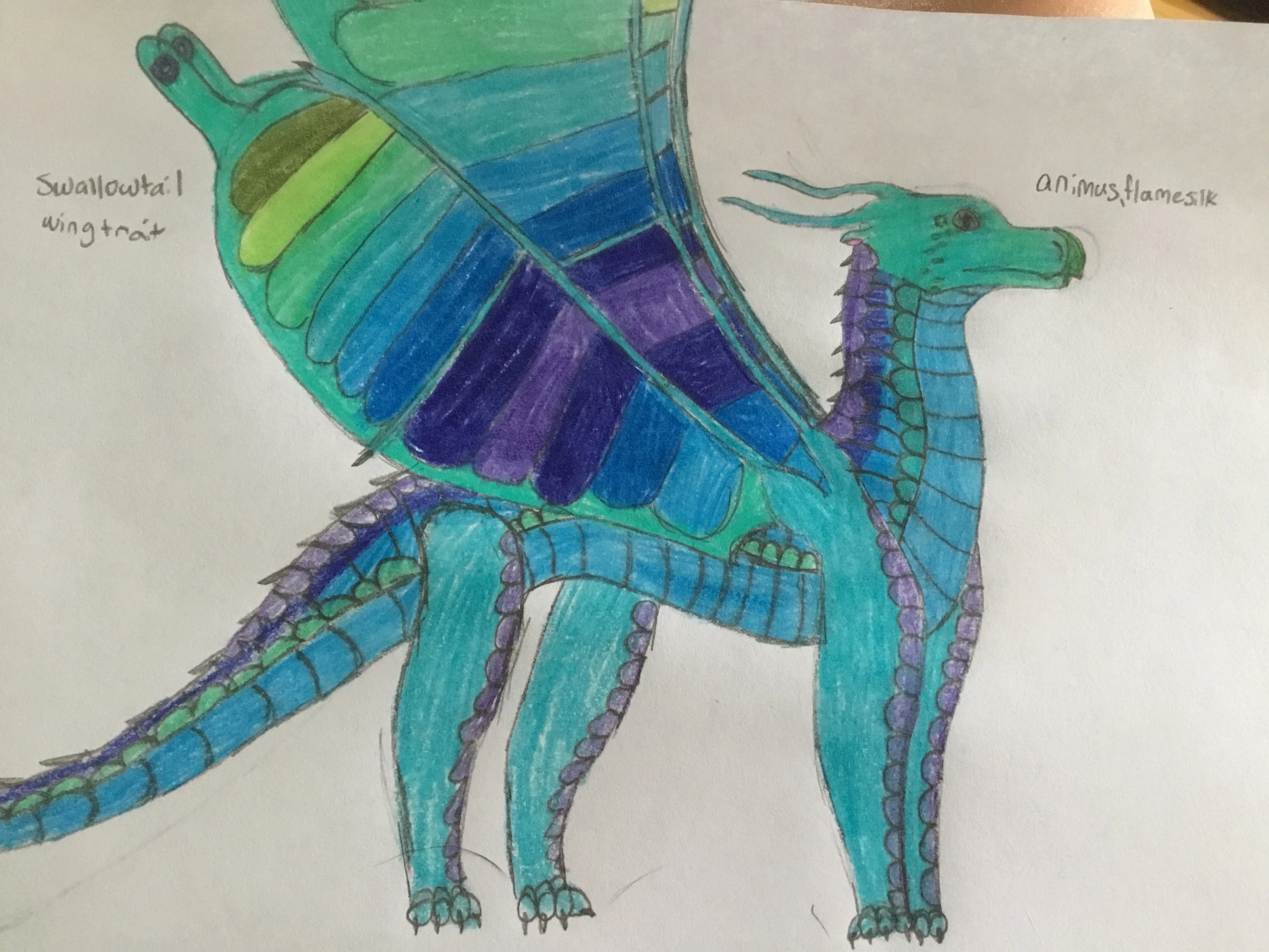 Names? Flamesilk, animus silkwing. | Fandom