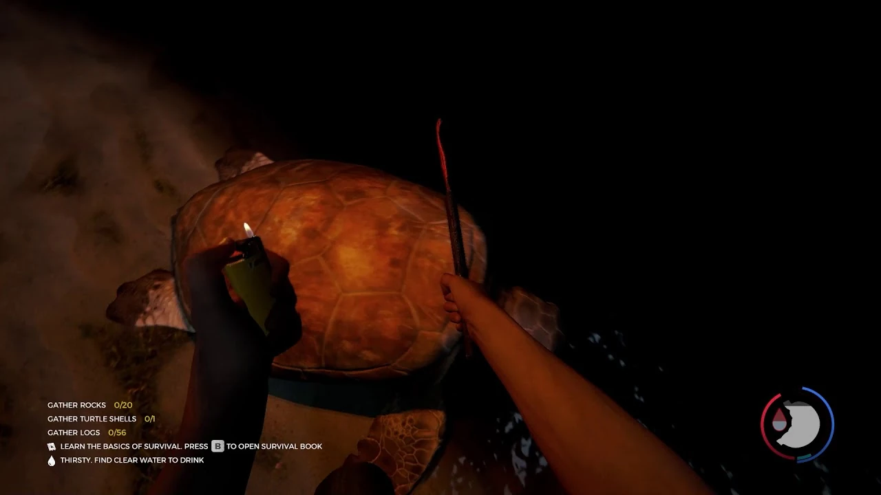 Turtle Heaven in The Forest | Fandom