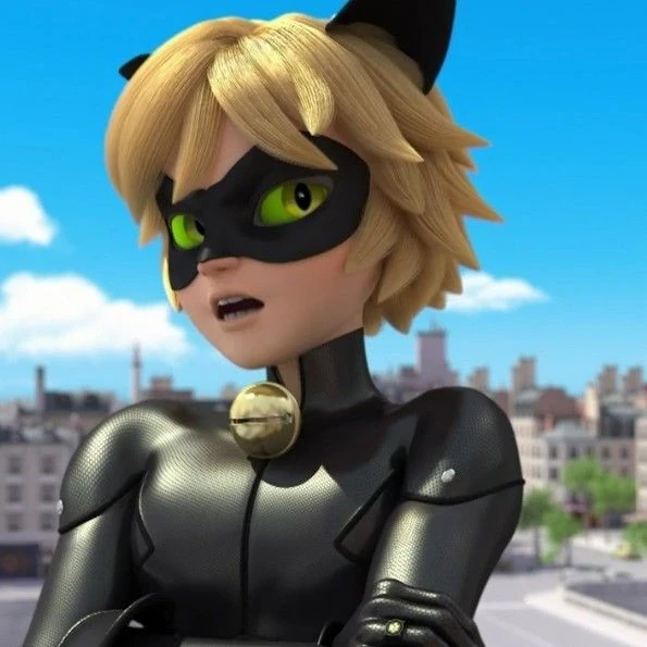 Why is Cat Noir mad and what makes him angry? (Wrong answers only) | Fandom