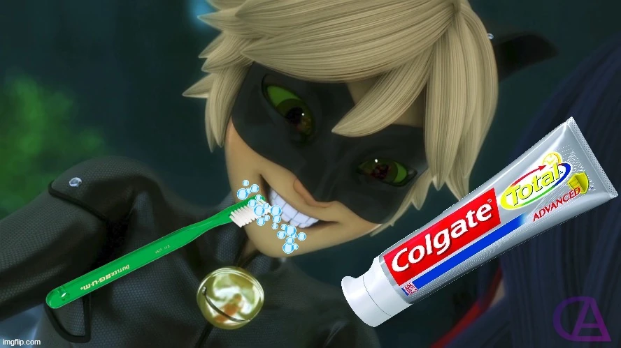 Chat brushing his teeth... | Fandom