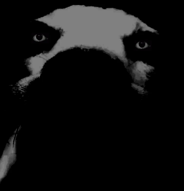 Sub Phases. | Fandom