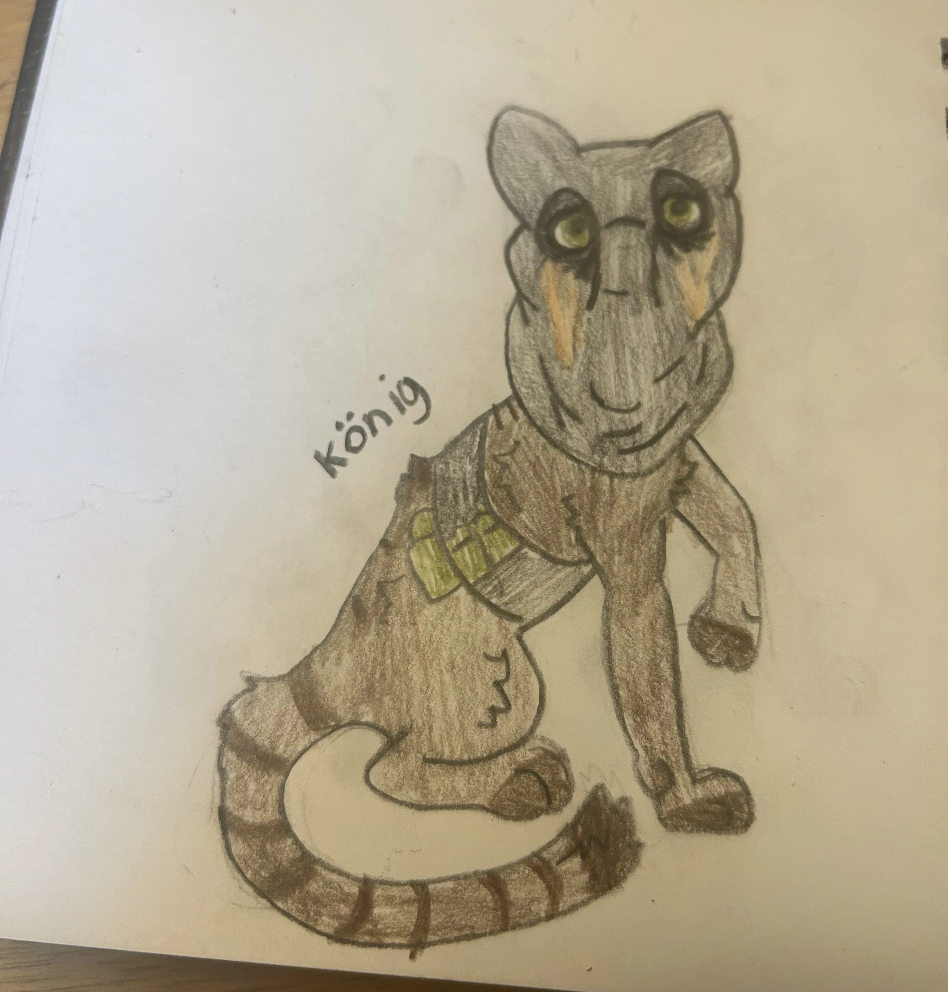 Draws König as cat* | Fandom