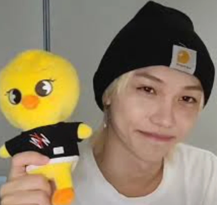 YOUR NOT SO DAILY FELIX #3 (FT. Bbokkari) | Fandom