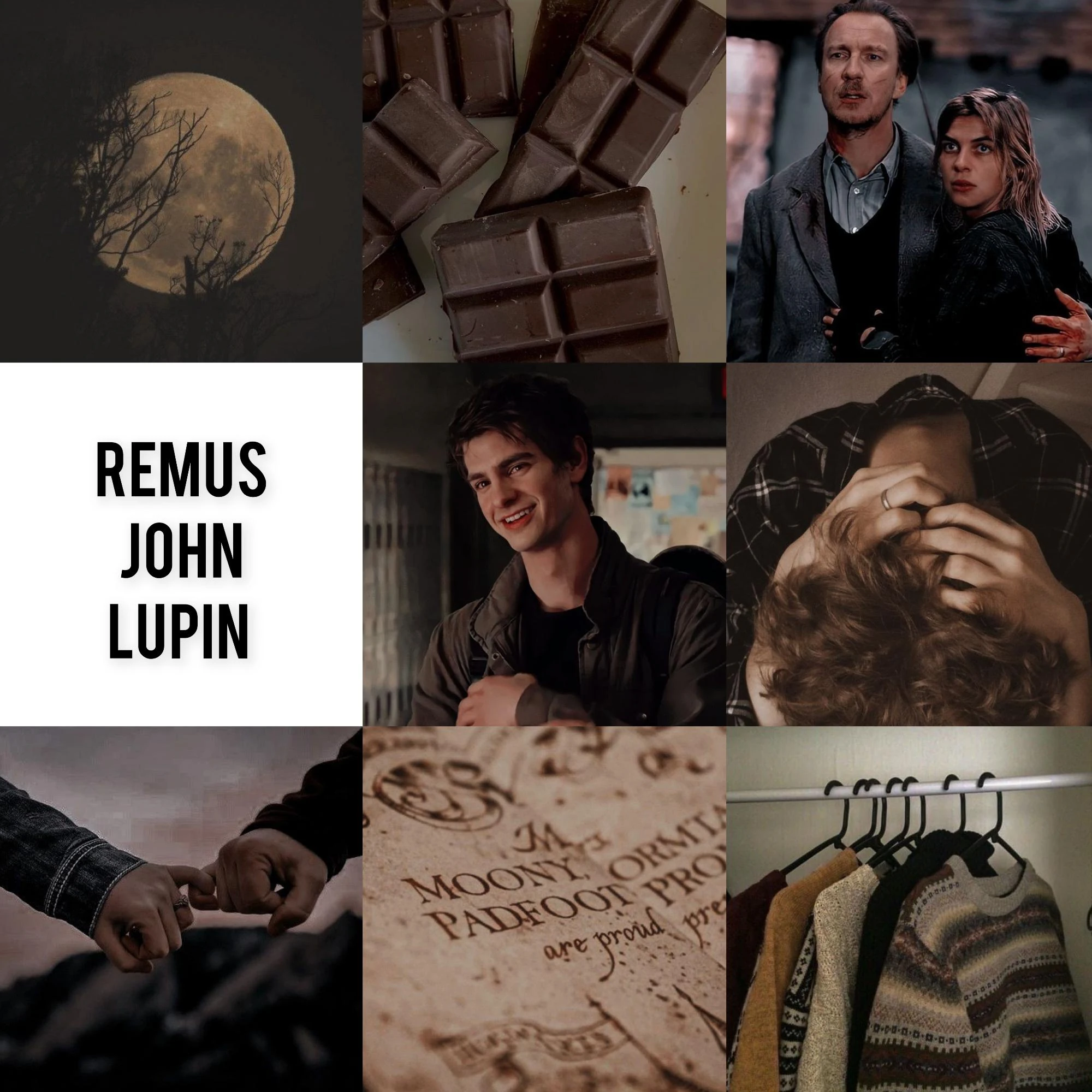Remus Lupin | Fandom