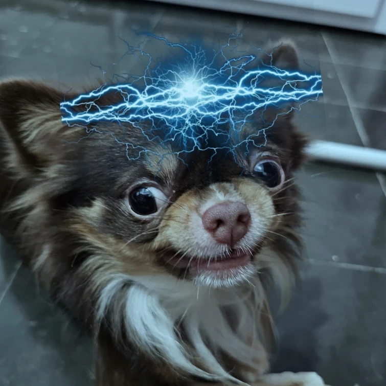 Discuss Everything About Dragon Adventures Wiki | Fandom