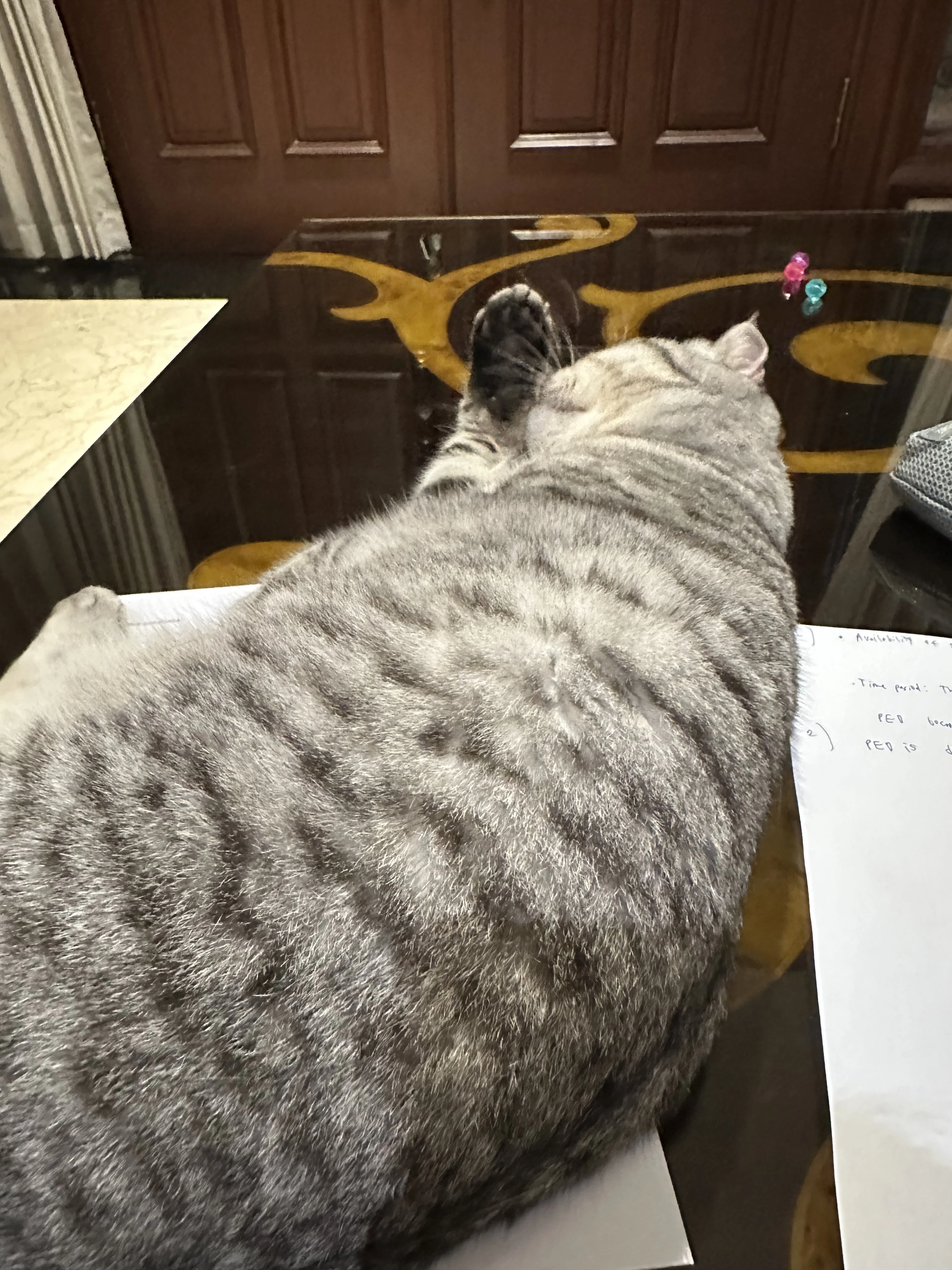 I shalt go sleep | Fandom