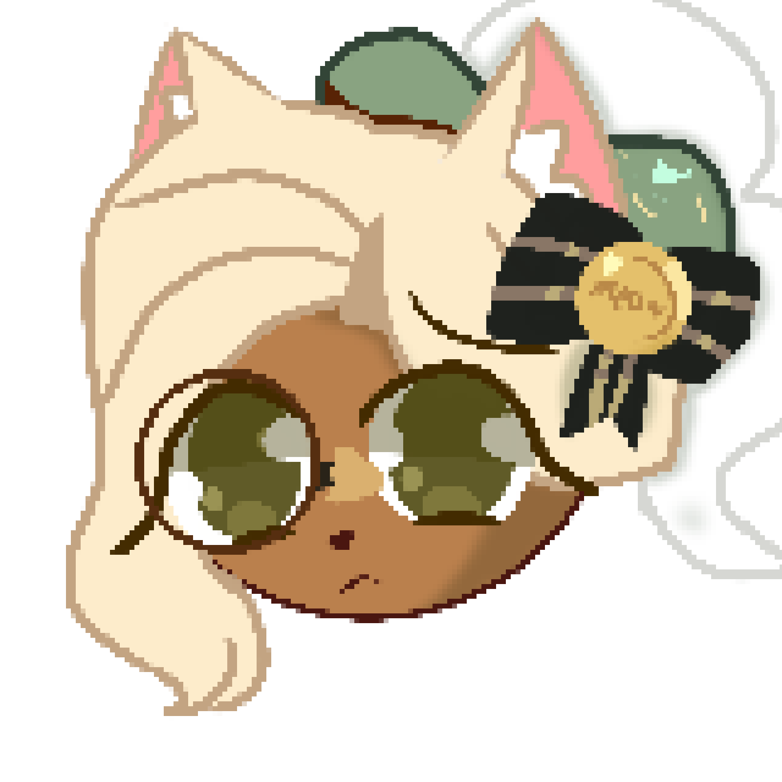 Eclat ( cat eclair ) | Fandom