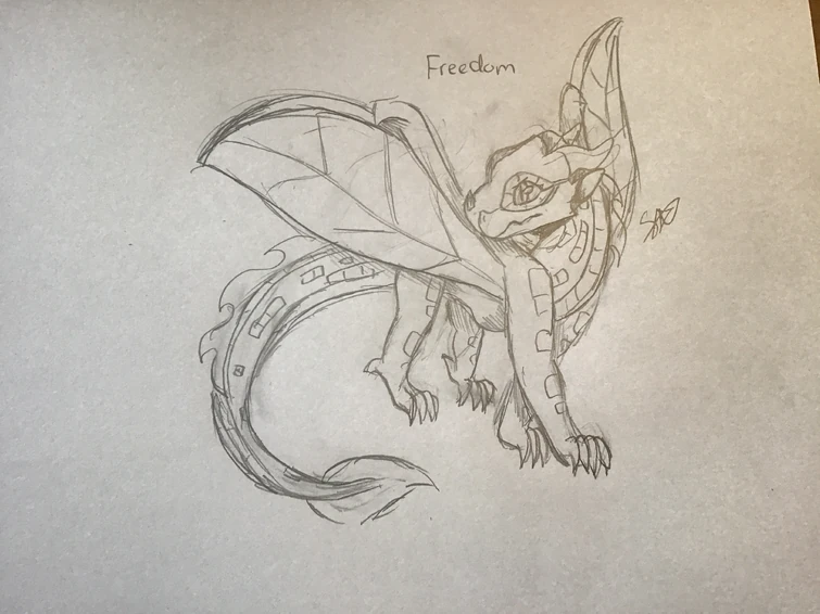 drawing WoF dragons each day till I get better (Day 1 and 2) (Dusky and ...