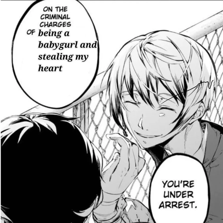 DAILY DOSE OF BSD MEMES 2 | Fandom