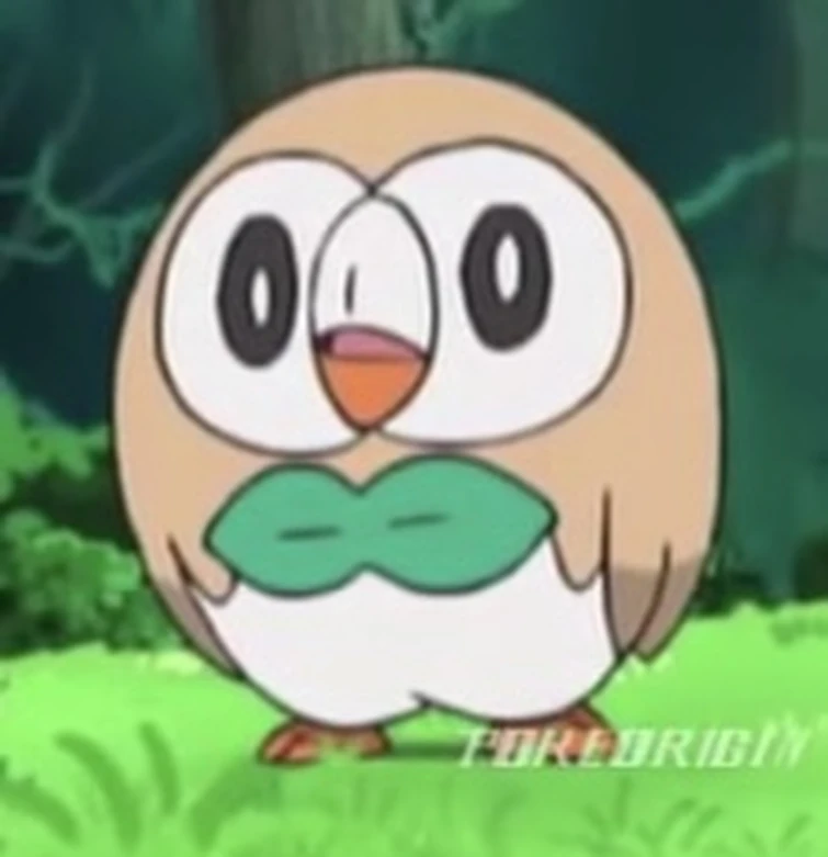 Caption this yall | Fandom