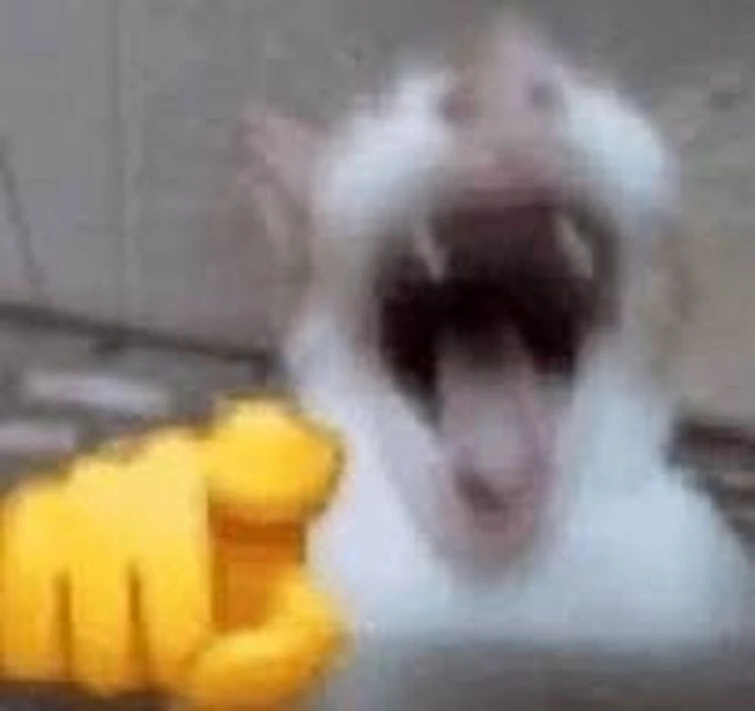 sols rng players when they realize they can get dopamine by doing an ...