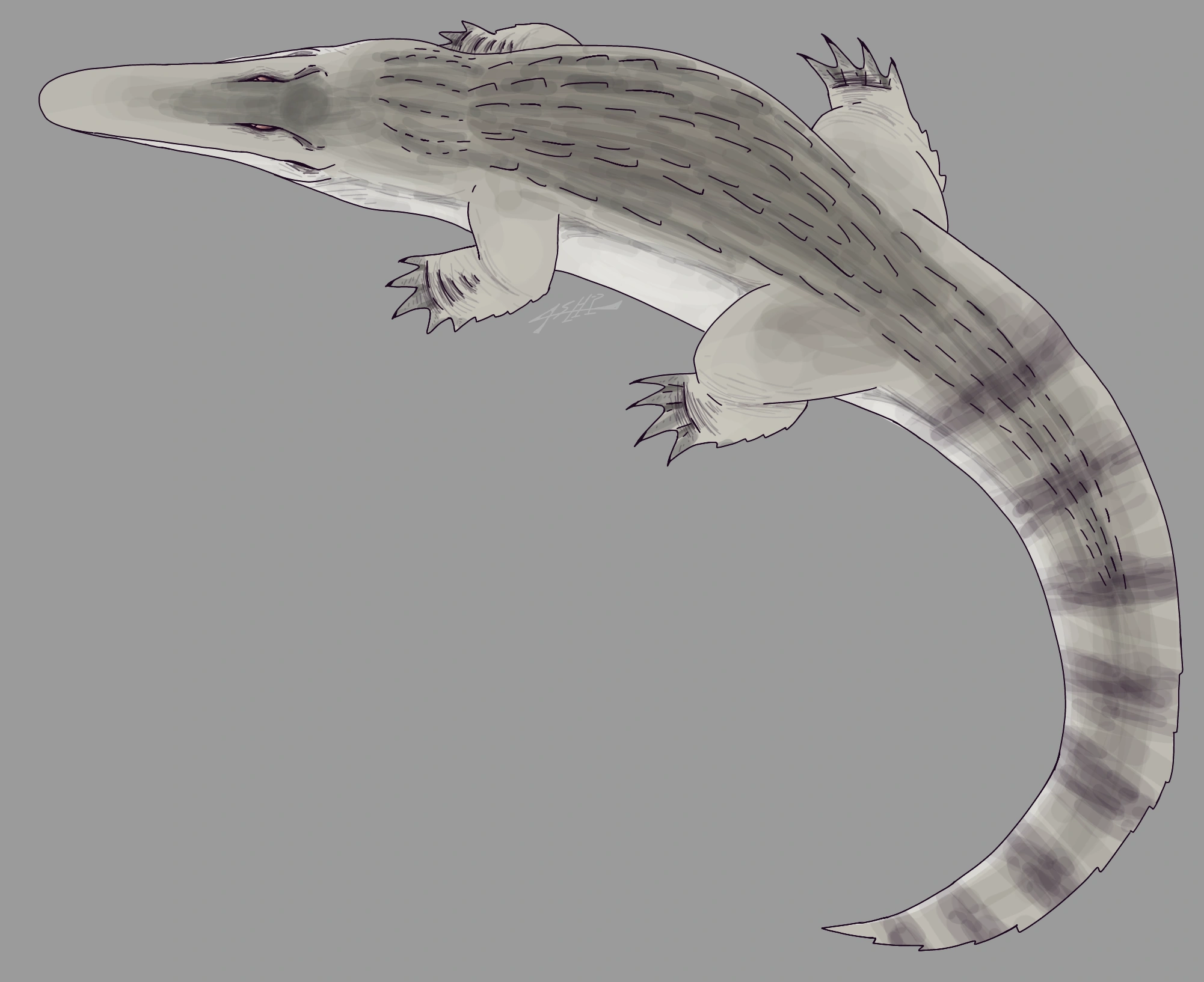 Aegisuchus drawing | Fandom