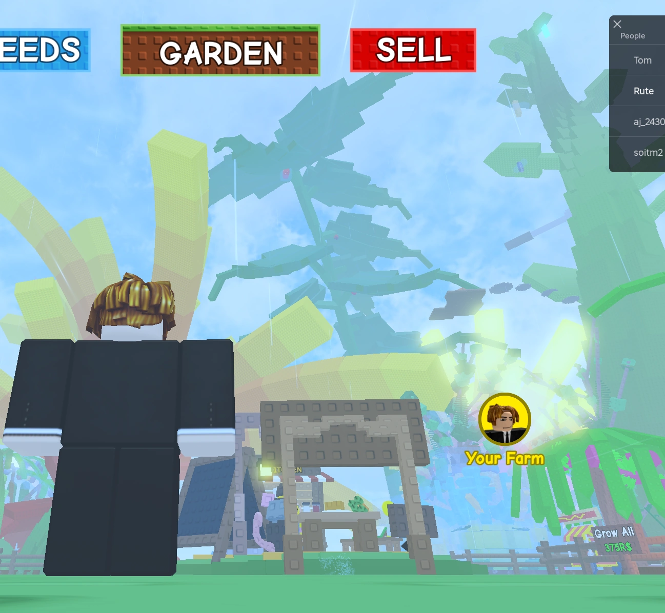 Largest Elder Strawberry tree? | Fandom