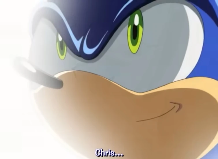 A totally sane rant about the 3 worst episodes of Sonic Television | Fandom